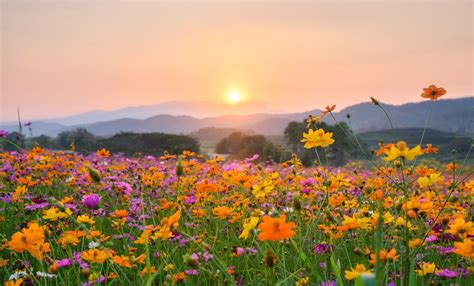 Equinoccio de primavera 2023 Cuándo inicia la primavera y cuándo termina