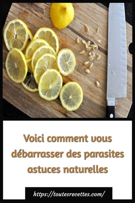 Voici comment vous débarrasser des parasites astuces naturelles