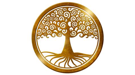Árvore da vida conheça os detalhes deste símbolo espiritual