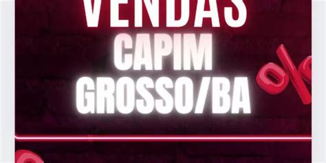 Grupo de WhatsApp VENDA E TROCA CAPIM GROSSO E REGIÃO