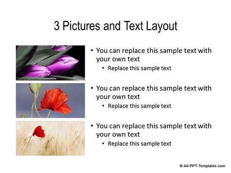 How To Add A Custom Layout In Powerpoint Design Talk