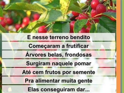 Par Bola Do Semeador Ppt