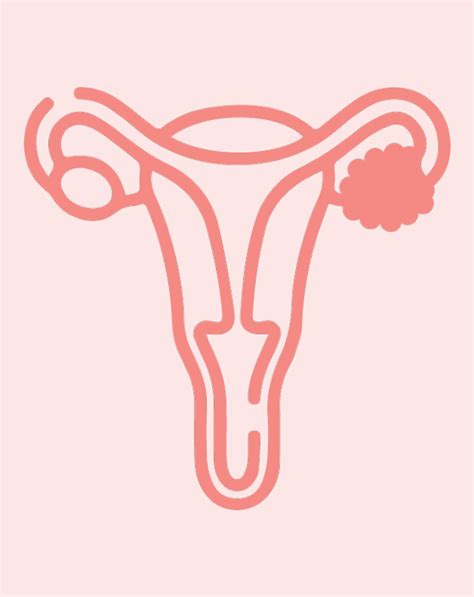 Healthy Ovary Test Quick Results For Hormone Monitoring
