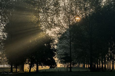 Herfst De Mooiste Tijd Van Het Jaar Truineer
