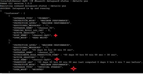 Oracle 18c Performing A Data Guard Failover Using DBaascli Utility