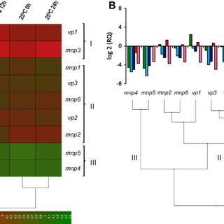 Exploratory Analysis Of Gene Expression Of The Nine P Ostreatus