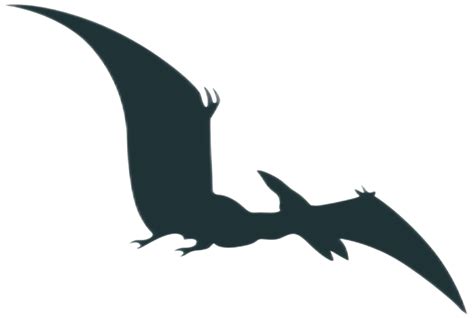 Free Dinosaur Silhouette Pteranodon Png With Transparent The Best