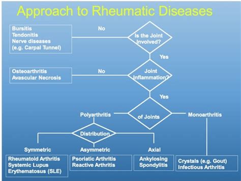 Intro To Msk Disease Flashcards Quizlet