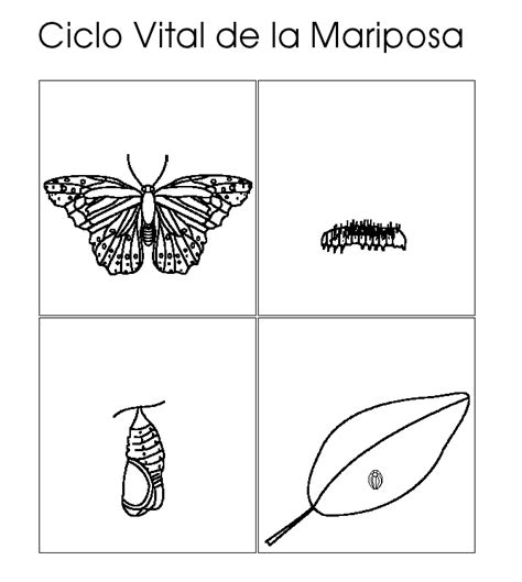 Menta M S Chocolate Recursos Y Actividades Para Educaci N Infantil