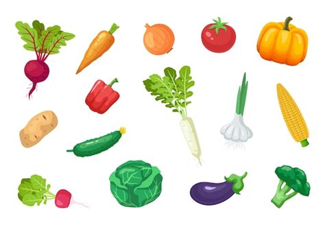 Conjunto de verduras ilustración vectorial aislada sobre fondo blanco