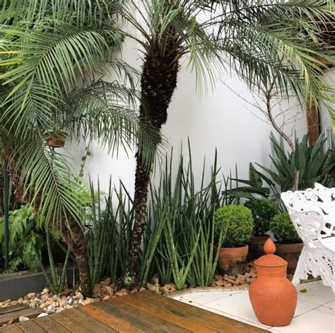 Plantas Para Jardim Esp Cies E Fotos Para Planejar Um Espa O Verde