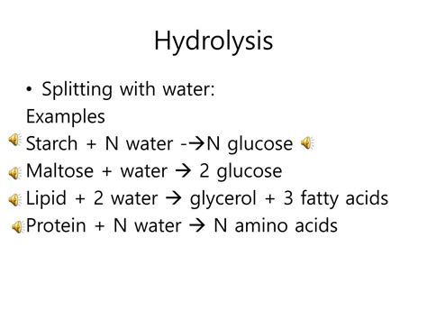 PPT Hydrolysis And Dehydration Synthesis PowerPoint Presentation