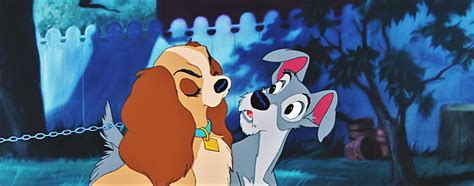 The Lady And The Tramp Wallpapers Wallpaper Cave