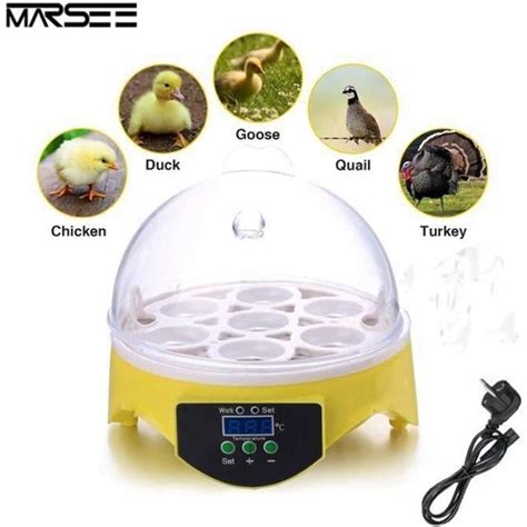 Couveuse Automatique Digital Incubateur Machine à Couver 7 Oeufs Poule