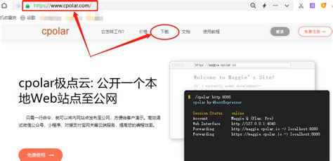 python一行代码实现文件共享【内网穿透公网访问】 cpolar 极点云官网