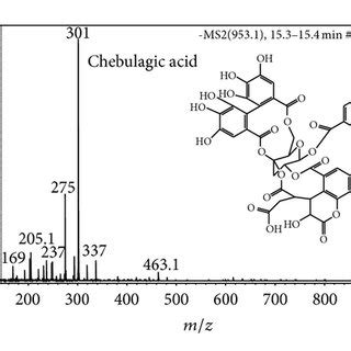 Chromatograms Obtained From Reversed Phase LC ESI QTOF MS Analysis Of