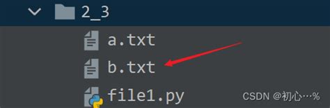【python】文件操作和异常处理 python计算思维训练——文件操作与异常处理 csdn博客