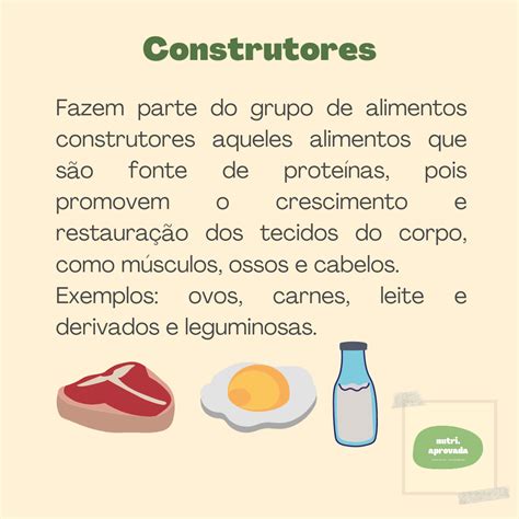 O Que São Alimentos Construtores BRAINCP