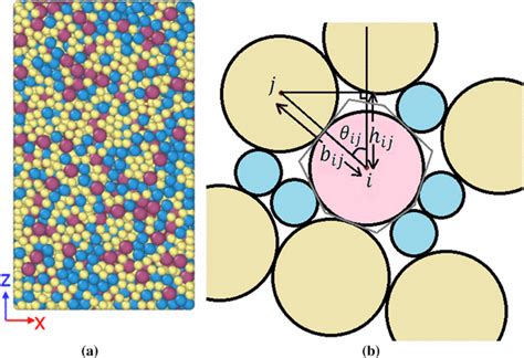 a schematic of a multi component polydisperse packed bed b side view download scientific