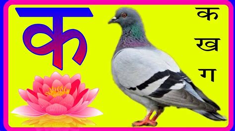 K Se Kabutar Kh Se Khargosh A Se Anar Aa Se Aam Kkhg Hindi Varnamala