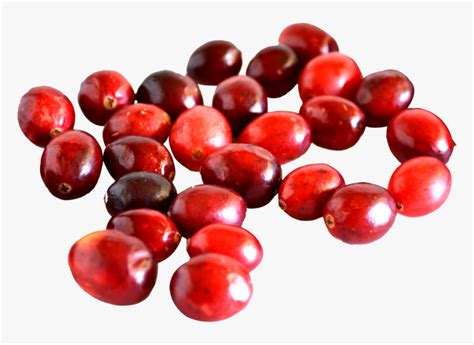 Cranberry Png Image Difference Between Cranberry And Cherry
