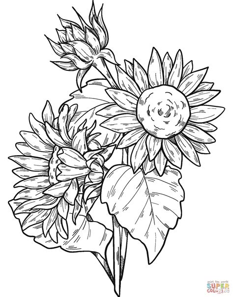 Girasoles Para Colorear Girasoles Para Colorear P Ginas Para