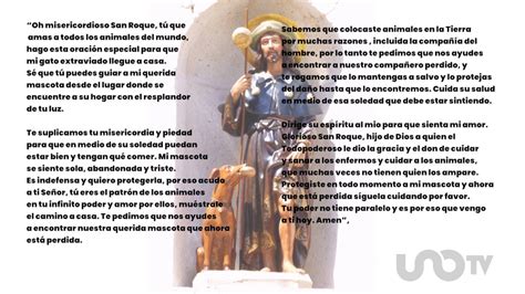 La Oraci N A San Roque Para Que Los Gatos Perdidos Regresen A Casa Uno Tv