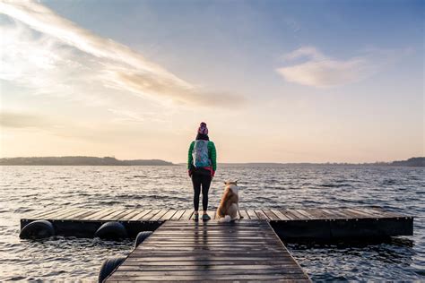 Yoga Para Perros Conoce Sus Beneficios
