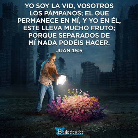 Juan 15 5 Referencias Cruzadas de la Biblia Conexiones Versículo a