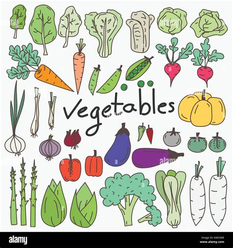 Set Of Hand Drawn Vegetables Doodles Stock Vector Image Art Alamy