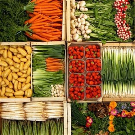 Astuces Pour Conserver Vos Fruits Et L Gumes
