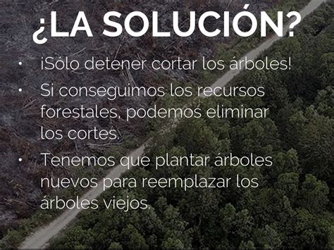 Deforestación by charles jackson