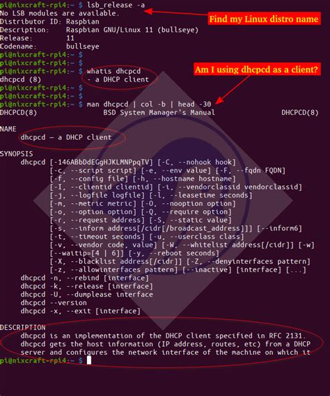 Linux Force DHCP Client Dhclient To Renew IP Address NixCraft