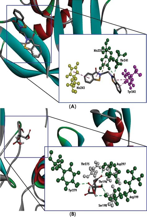 Three Dimensional Representation Of Molecular Docking Analysis Between