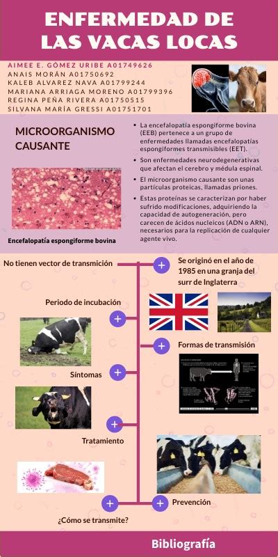 Enfermedad De Las Vacas Locas
