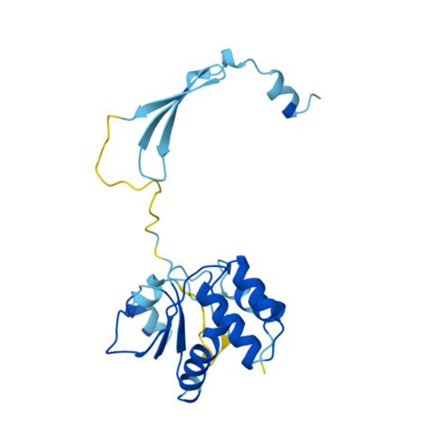 RCSB PDB AF AFA0A140LFT0F1 Computed Structure Model Of Dual