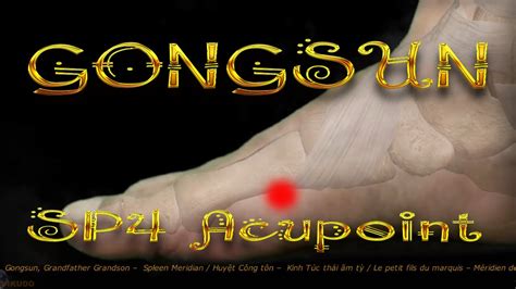 SP4 Gongsun Acupoint Grandfather Grandson Acupoint Spleen