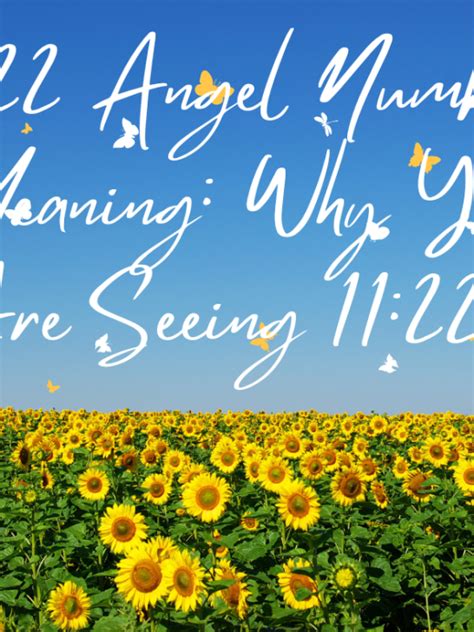 Angel Number Meaning Why You Are Seeing Mind Your Body Soul