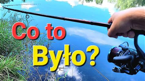 Co to było Dziwne Branie na Feeder Method Feeder i Wędkarstwo