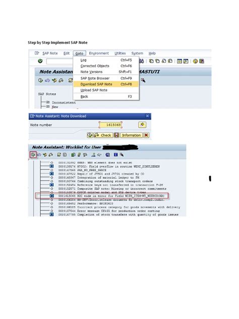 step by step implement sap note pdf