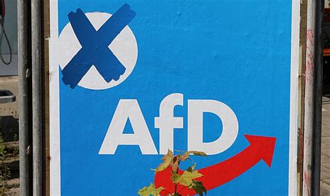 AfDnee Anti AfD Kampagne EgoFM