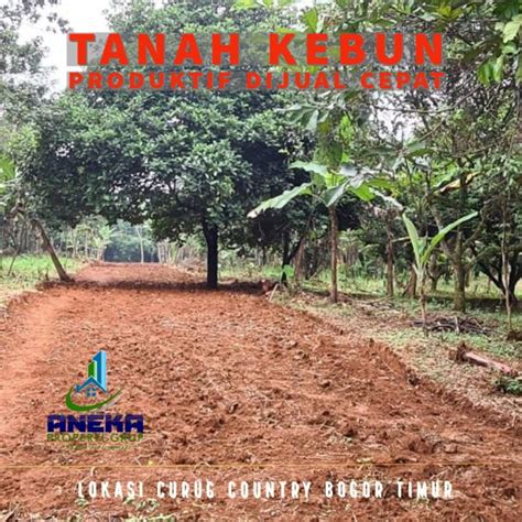 JUAL TANAH KEBUN MURAH DAN PRODUKTIF