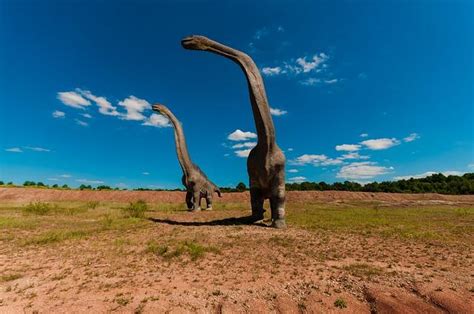 Por Qu Se Extinguieron Los Dinosaurios