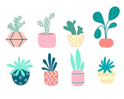 Un Conjunto De Plantas Caseras En Macetascactificus Rose Vector Premium