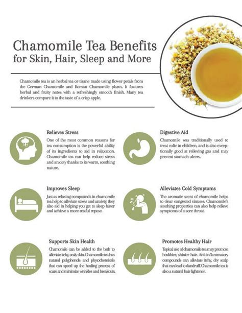 Chamomile Tea Benefits To Health