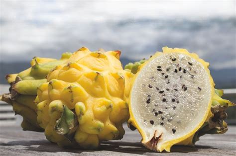 Has Probado La Pitahaya O Fruta Del Dragon Forocoches