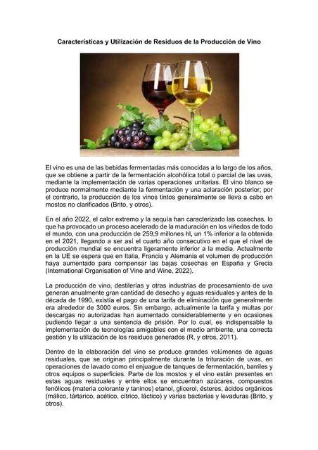 Utilización de Residuos del Vino CINTHYA VITERI uDocz