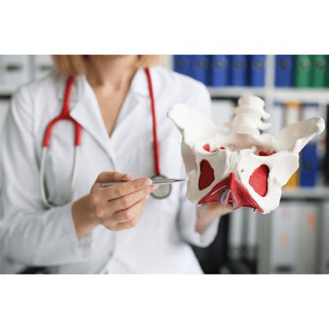 Fisioterapia para la Cistitis Cuándo y Por Qué Dimann