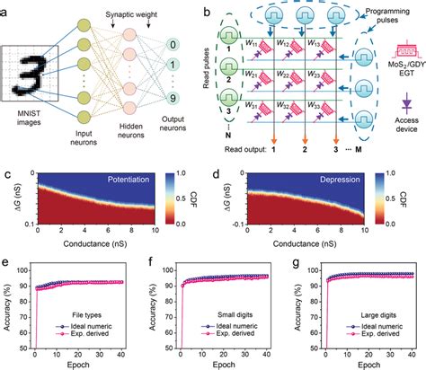 simulation of neuromorphic computing with the parameters of the download scientific diagram