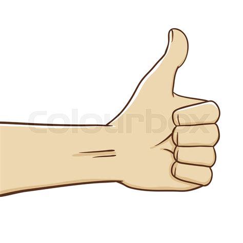 Hands Thumbs Up Vector Stock Vector Colourbox